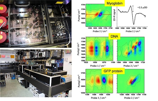 CLF 2D-IR Spectroscopy